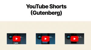 How to Embed YouTube Shorts on Any Website (2025 Guide)